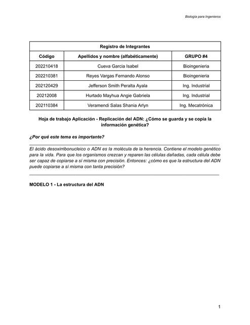 Replicación del ADN | Angie Gabriela Hurtado Mayhua | uDocz