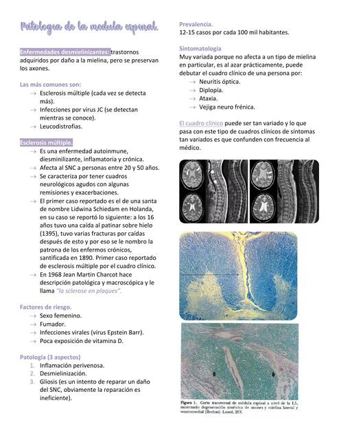 Patología de la medula espinal | Montserrat Hernández | uDocz