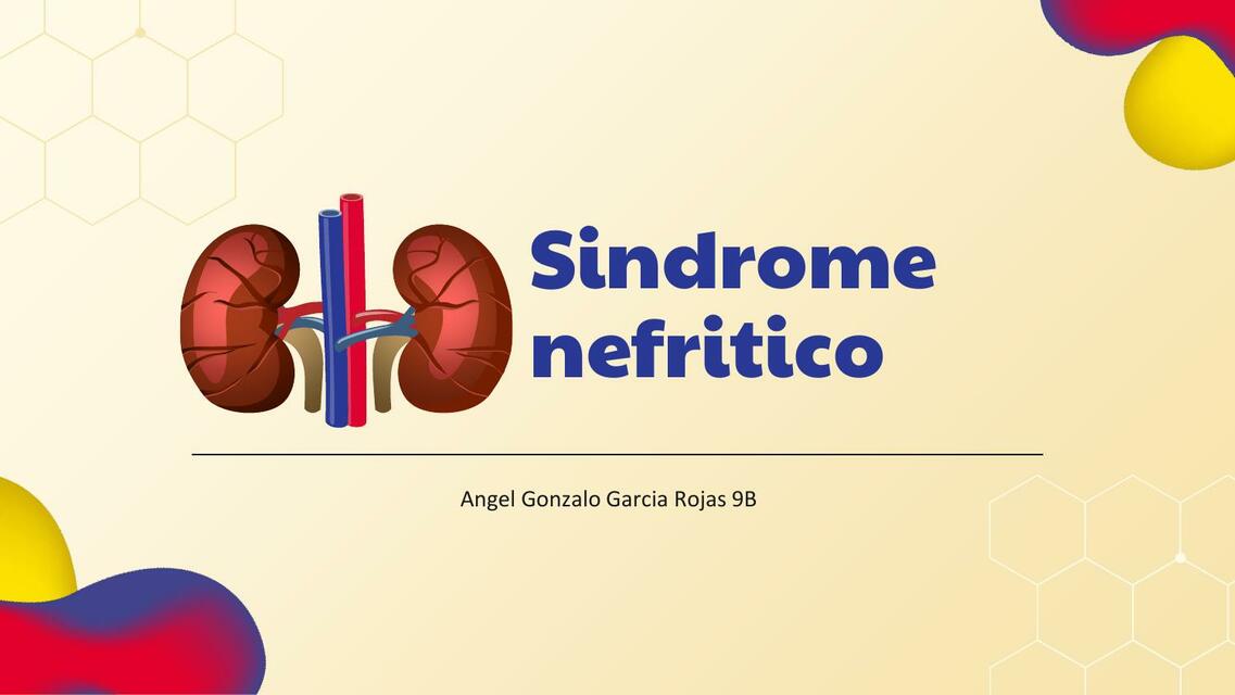 Sindrome nefrotico | Angel Garcia | uDocz
