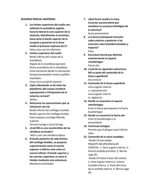 Anatomía segundo parcial | Dulce Ordaz 7 | uDocz