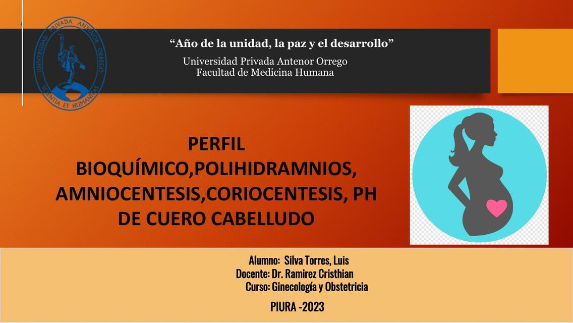 Perfil biofisico | Luis Silva | uDocz