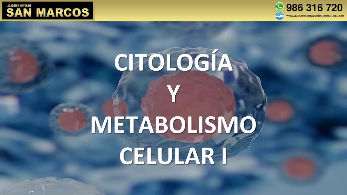 Citología y metabolismo celular | helen mondragon suarez | uDocz