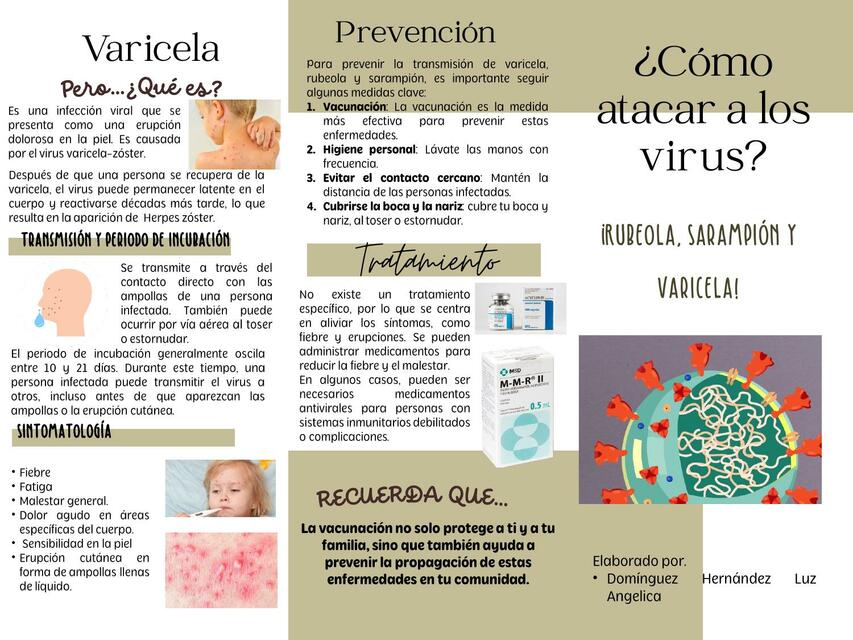 Rubeola Sarampión y Varicela triptico | Ranita Cientifica | uDocz