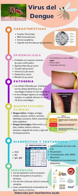 Virus del Dengue | Itzel Benitez Ayala | uDocz