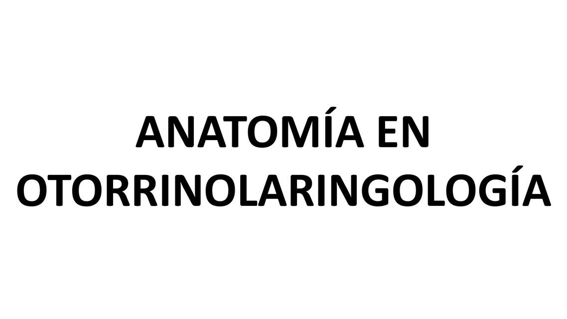 Revisión Anátomo Funcional del Oído, Nariz y Garganta | Dra Monito | uDocz
