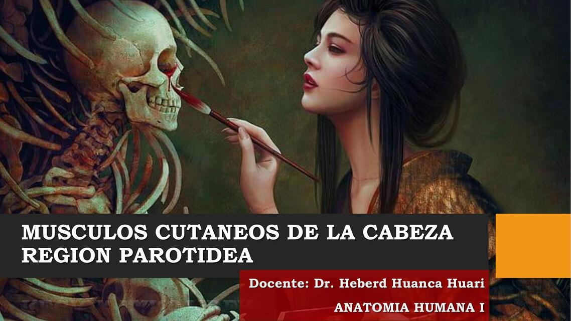 Musculos cutaneos de la cabeza region parotidea | Paola Narvaez | uDocz
