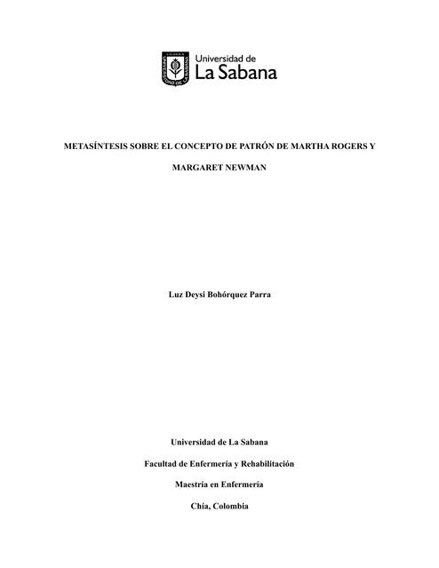 tesis metasintesis sobre el concepto de patron | Irving Cisneros | uDocz