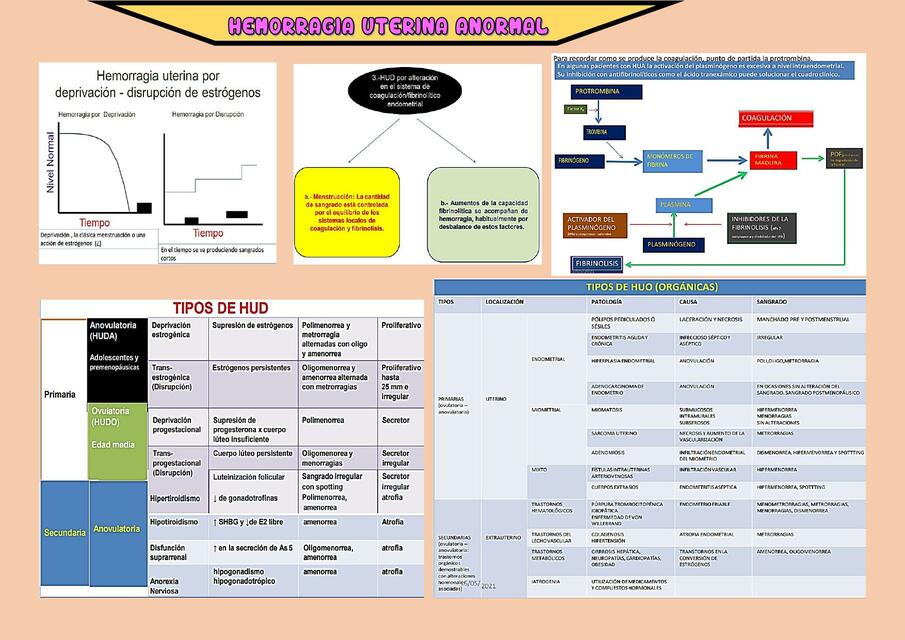 HUA tipos de HUD y HUO | Mishelle Chavez | uDocz