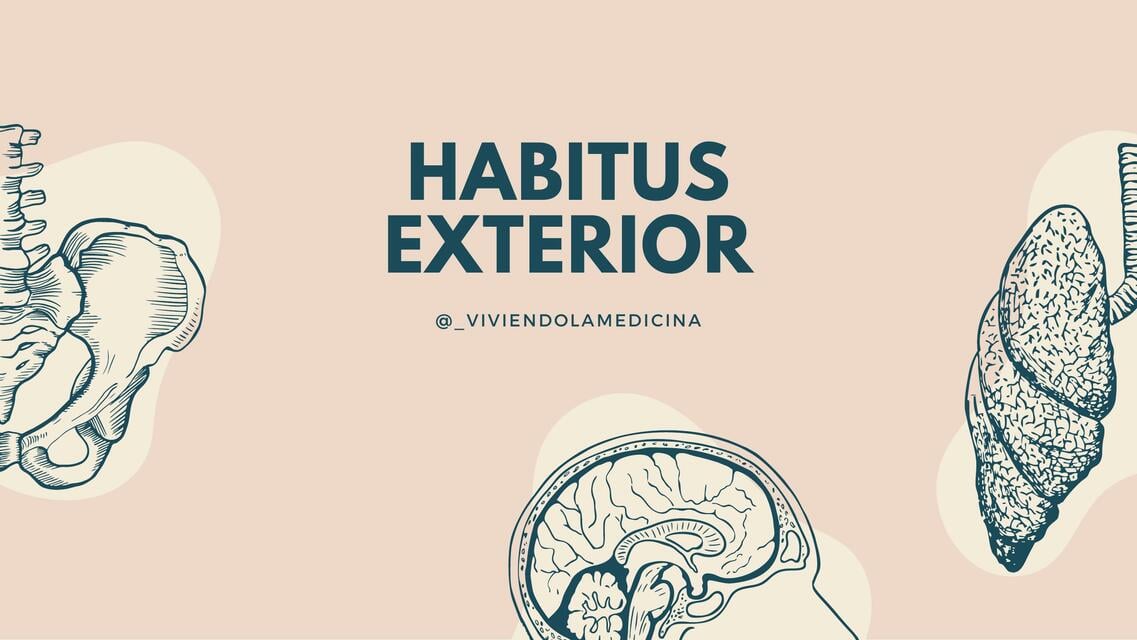 Flashcards de Habitus exterior | Por Viviendo la medicina | uDocz