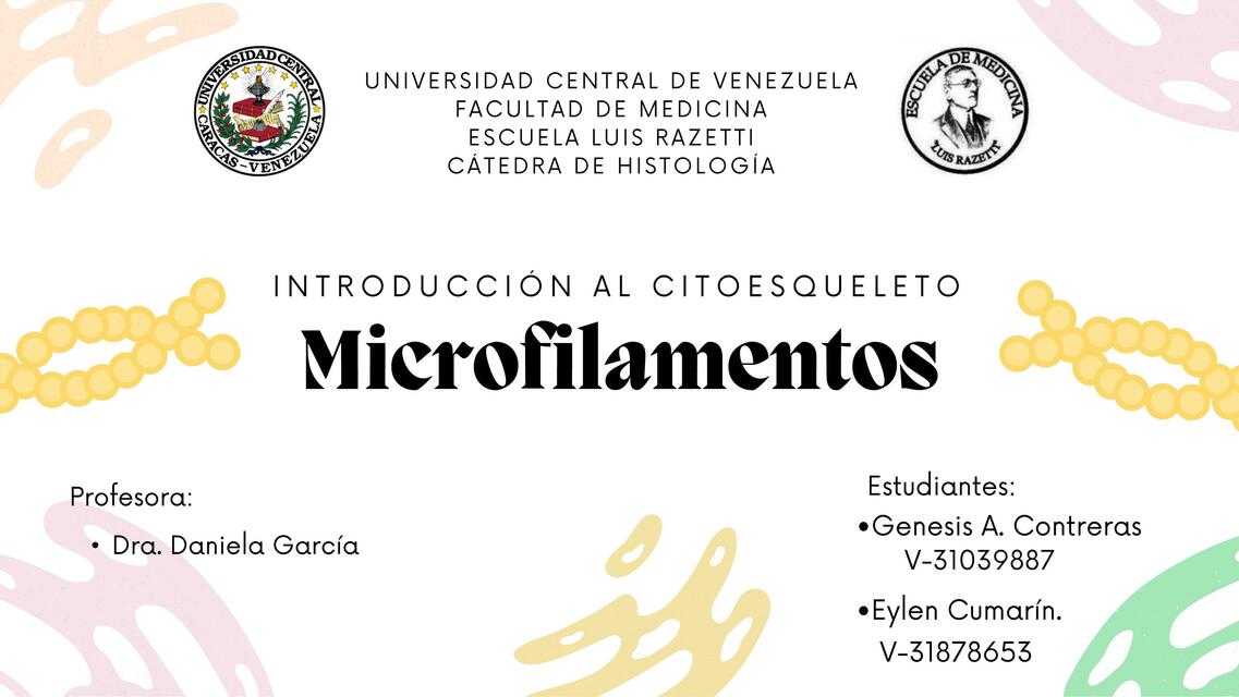 Introducción al citoesqueleto: Microfilamentos. | EC | uDocz