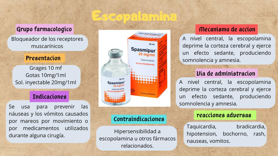 Escopolamina | Erica AF | uDocz