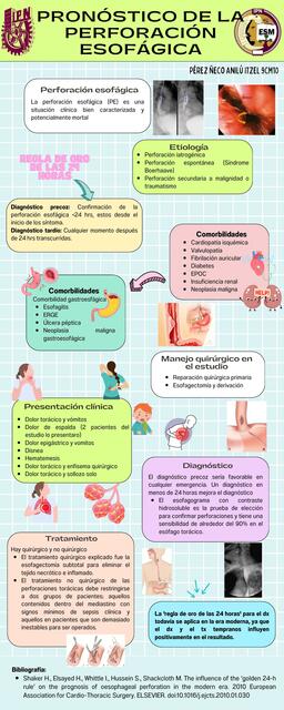 Infografía pronostico de la perforación esofágica | Anilu Pérez Ñeco ...