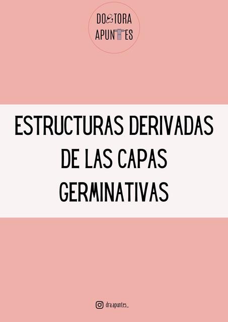 Resúmenes de Capas germinativas | Descarga apuntes de Capas germinativas