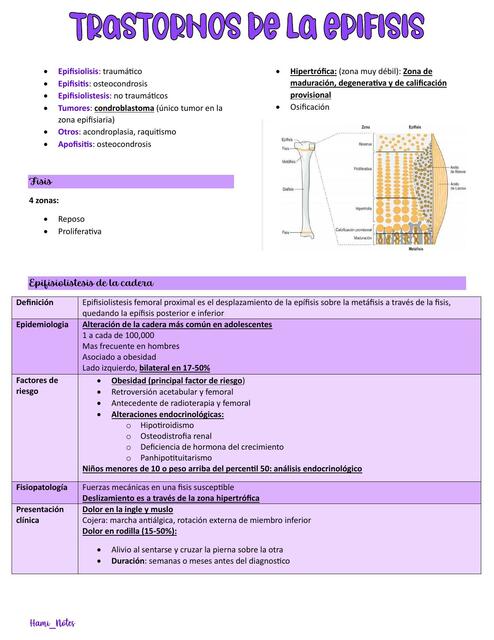 Flashcards de Trastornos de la epifisis | Por Medi_Hami | uDocz