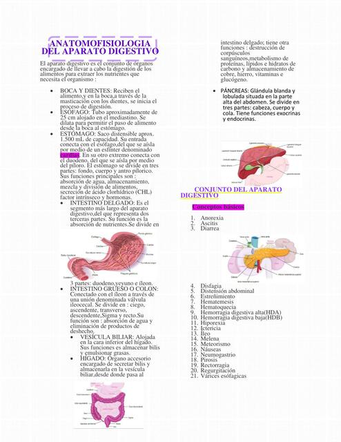 ANATOMOFISIOLOGIA del aparato digestivo | Anthu.Nurse | uDocz