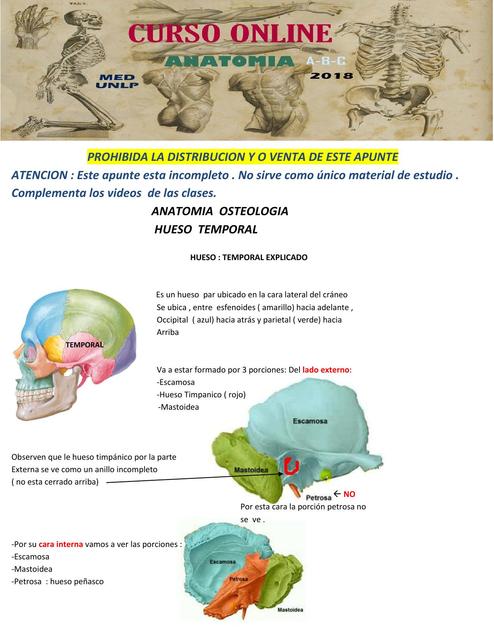 HUESOS DEL CRANEO TEMPORAL | Nayra Yucra Flores | uDocz