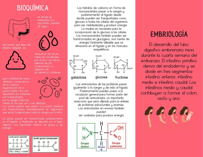 BIOQUIMICA | Johana Tello | uDocz