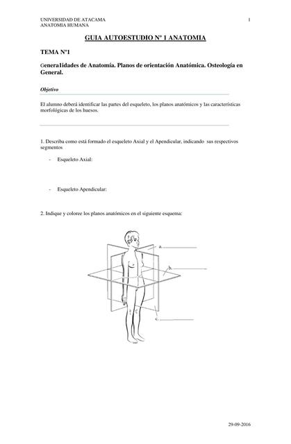 Guia 1 Autoestudio Anatomía | Nicole | uDocz