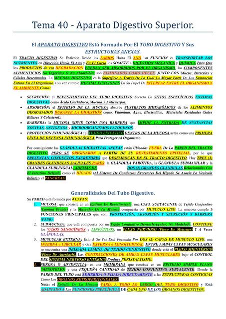 Tema 40 Boca | Carlos Daniel Cárdenas Santos | uDocz