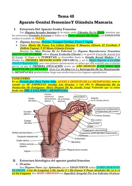Histo 3° Parcial (1) ULA | uDocz