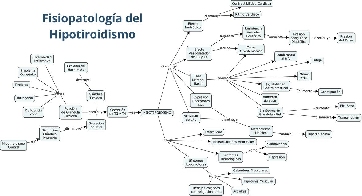Fisiopatología del Hipotiroidismo | SCEM-UMSS Bolivia | uDocz