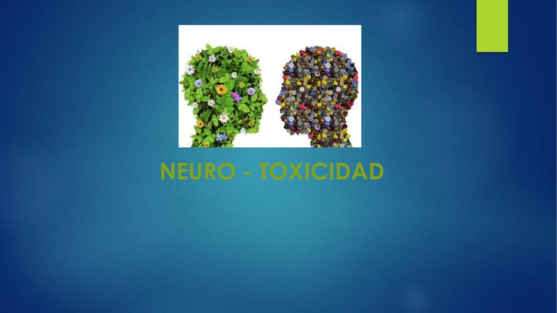 Neurotoxicidad | Oscar Zebadua | uDocz