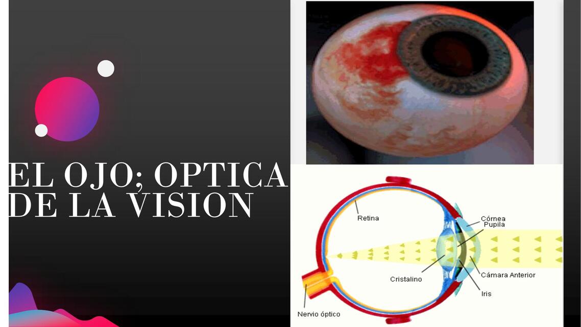 Flashcards de El ojo: óptica de la Visión | Por Oscar Zebadua | uDocz