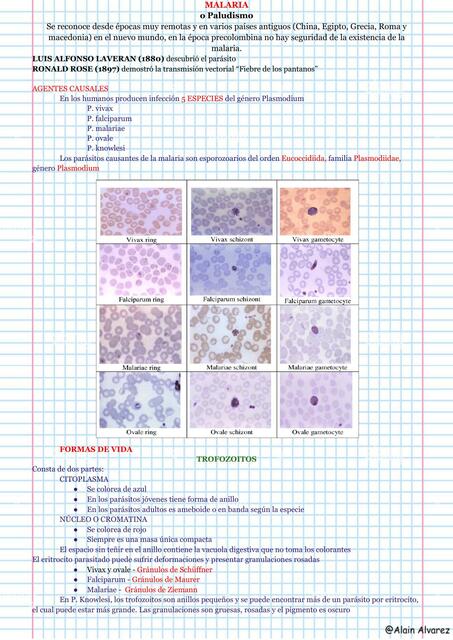 MALARIA | Alain Alvarez | uDocz