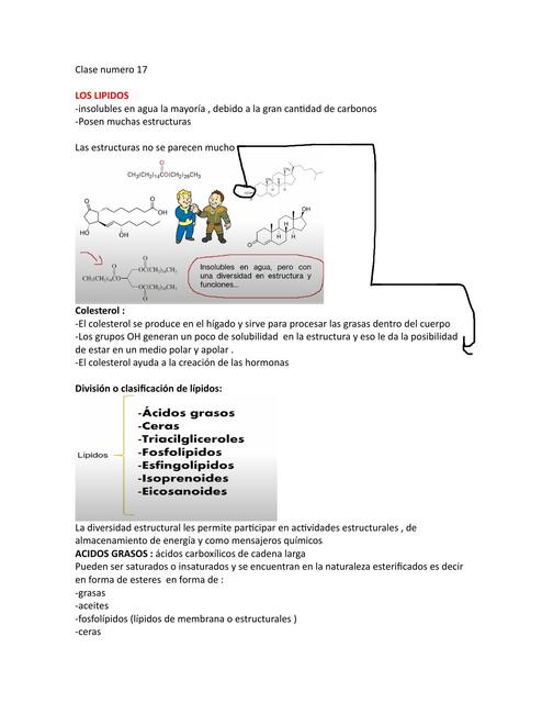 Lipidos | Emily Gabriela Rodriguez Carpio | uDocz