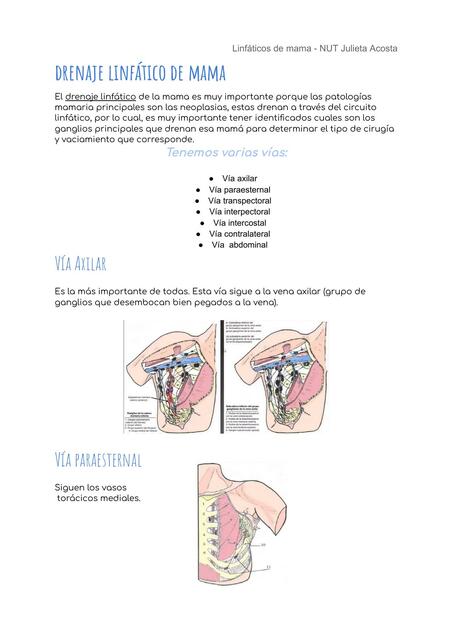 Linfaticos de mama | Julieta Nicole Acosta | uDocz