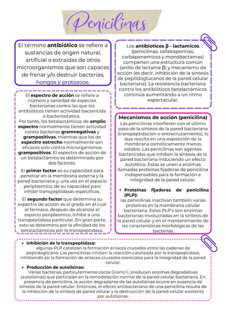 Penicilinas | AC | uDocz