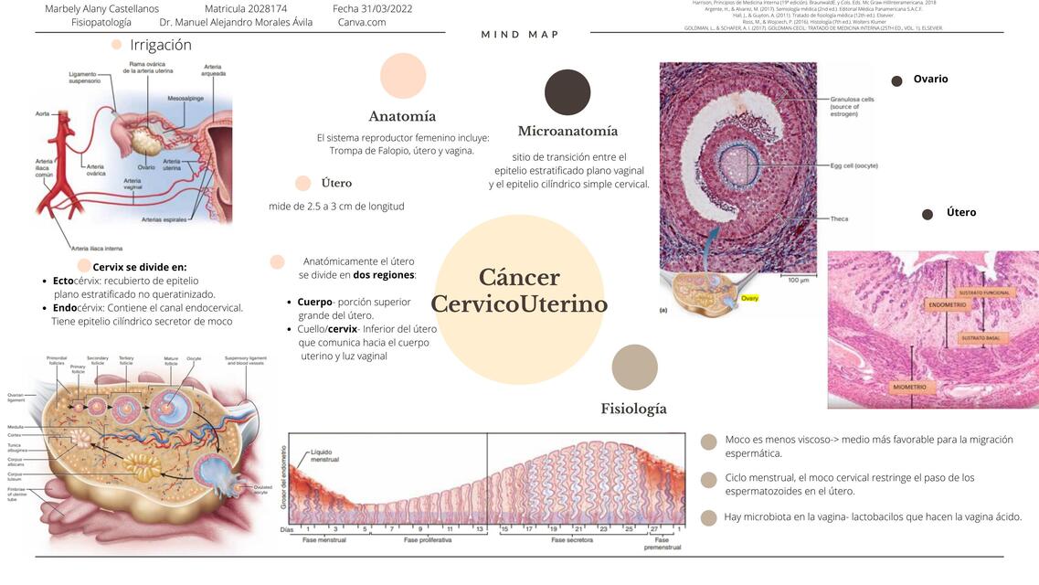 Cáncer cérvico uterino | Alany Castellanos | uDocz