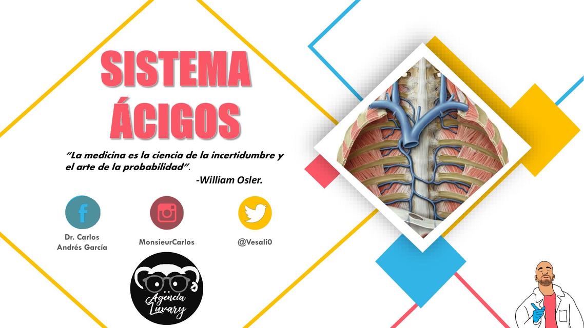 Anatomía - Venas Ácigos por Carlos Andrés García | Dr. Carlos Andrés ...