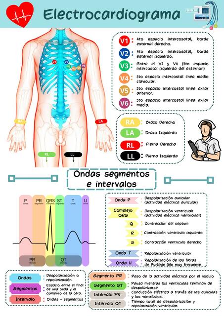 Electrocardiograma EKG | Nursing student💙 | uDocz