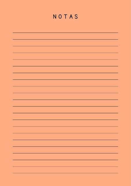 Journal Planner 11 | developer.ishtar | uDocz