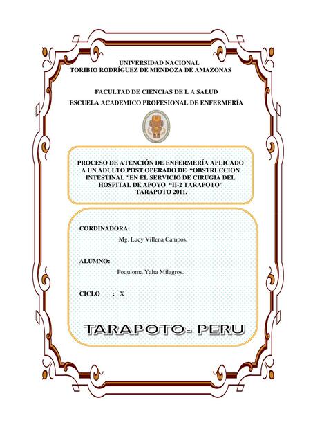 Proceso de atención de enfermería aplicado a un adulto post operado de ...