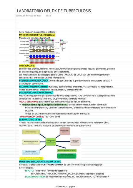 12 Laboratorio del DX de tuberculosis | Jossie Sofia Chirre Challco | uDocz