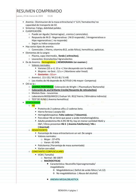 4 ANEMIA | Jossie Sofia Chirre Challco | uDocz