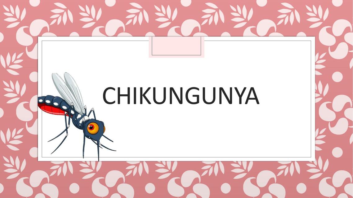 Chikungunya | Dayana Francisco | uDocz