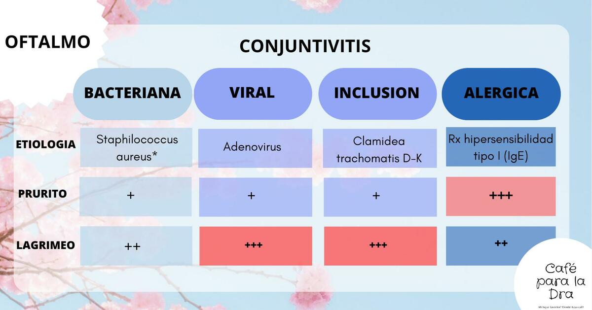 OFTALMOLOGIA: CONJUNTIVITIS BACTERIANA VIRAL INCLUSION Y ALERGICA | Dra ...