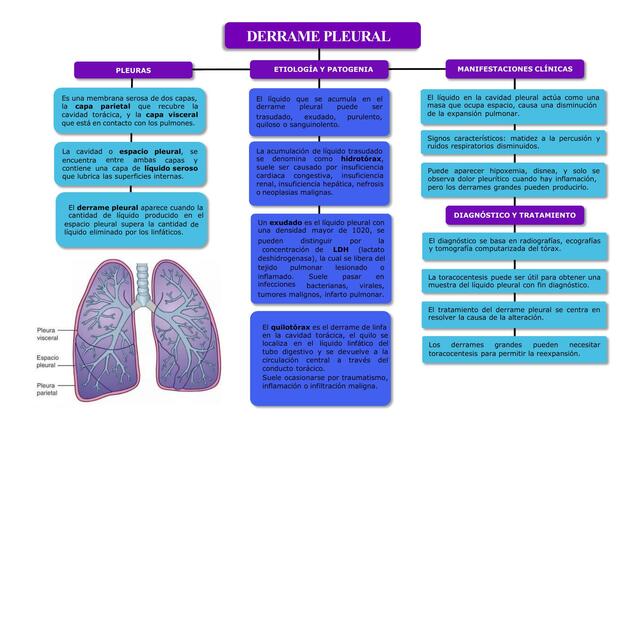 Derrame Pleural | FERNANDA RENTERIA MALAVER | uDocz