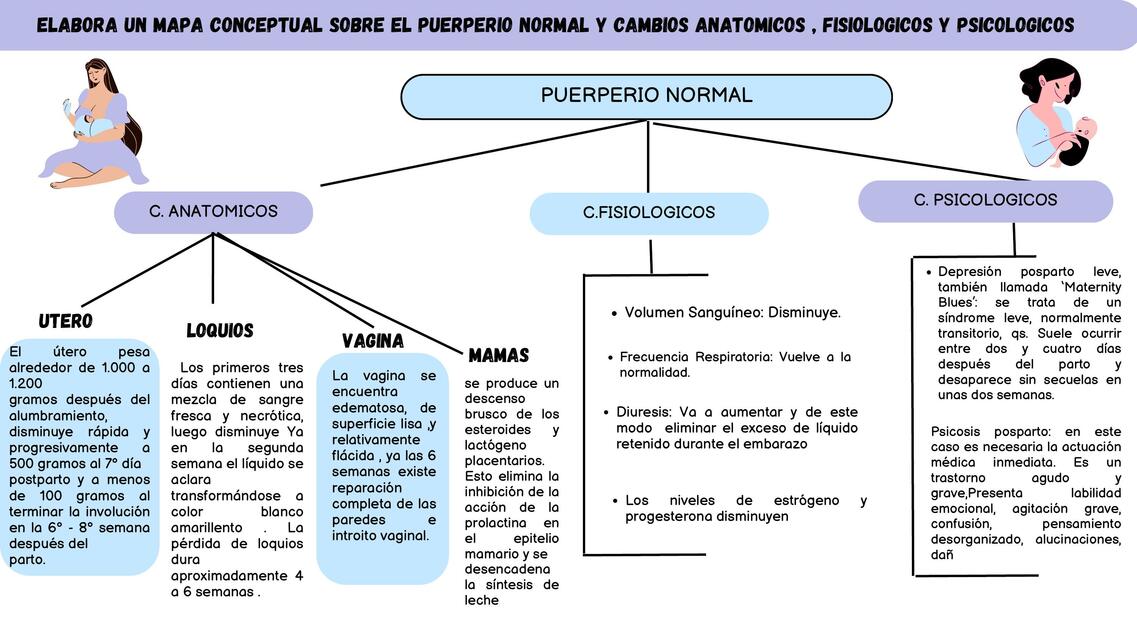 Puerperio normal | Dayana Pimentel | uDocz