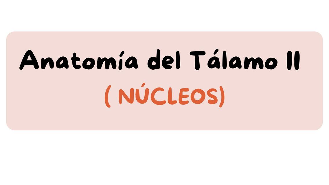 Núcleos del tálamo | Séfo | uDocz