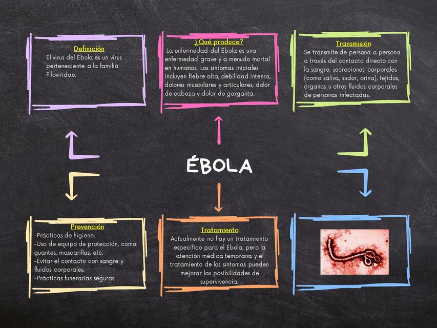 EL ÉBOLA | Full ciencia | uDocz