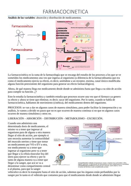 Farmacocinética | Lucía Ruiz | uDocz
