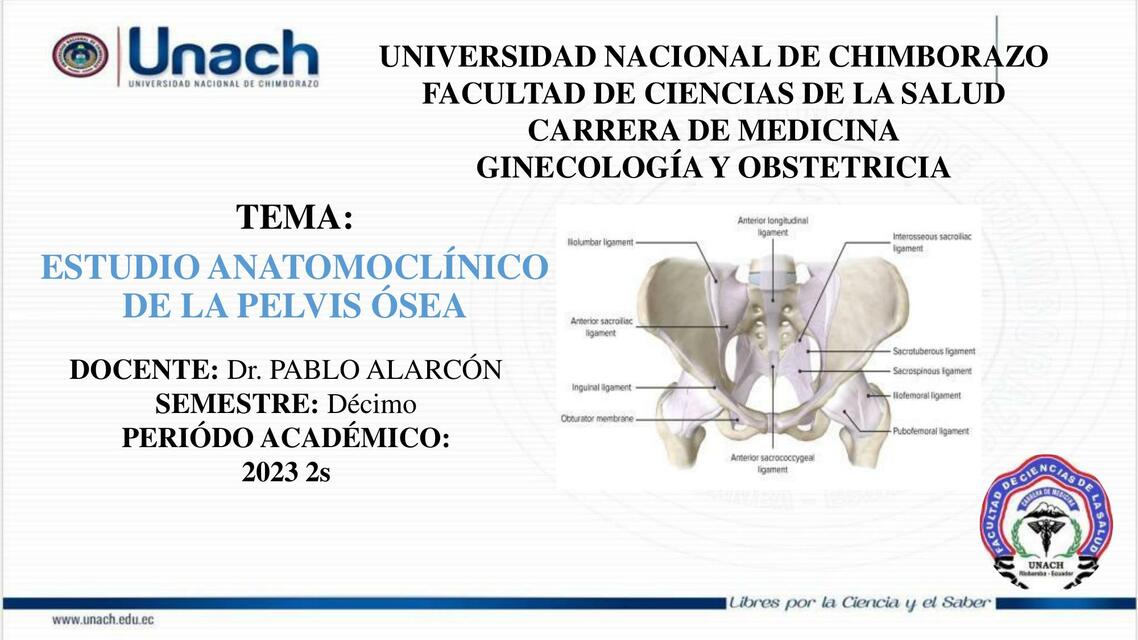 Estudio Anatomo clínico Pelvis ósea | Jose Guaman | uDocz