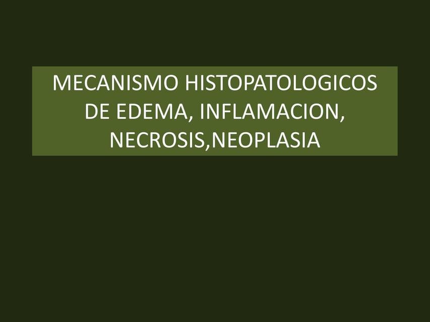 MECANISMO HISTOPATOLOGICOS DE EDEMA INFLAMACION | Greys Anatomy | uDocz