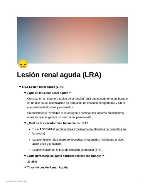 Lesión renal aguda LRA | Luis Esquivel Peña | uDocz