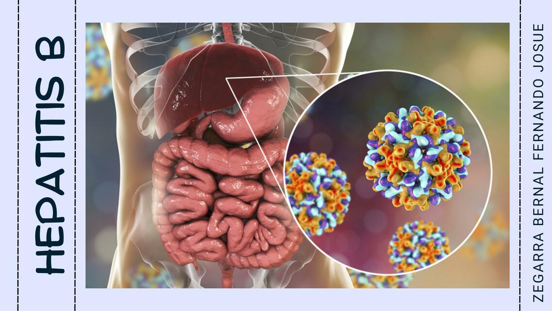 Hepatitis B | FERNANDO ZEGARRA BERNAL | uDocz
