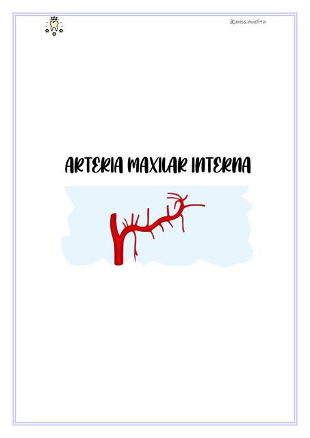 ARTERIA MAXILAR INTERNA | Miss Muelita | uDocz